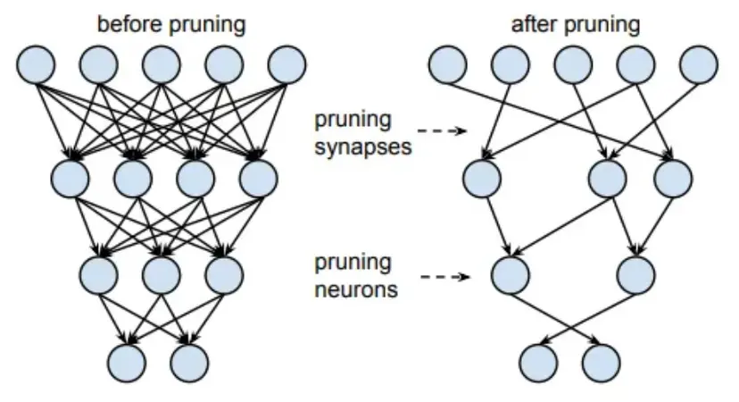Model Pruning, Distillation, and Quantization, Part 1 | Deepgram