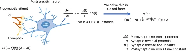 Liquid Neural Networks: Fluid, Flexible Neurons | Deepgram